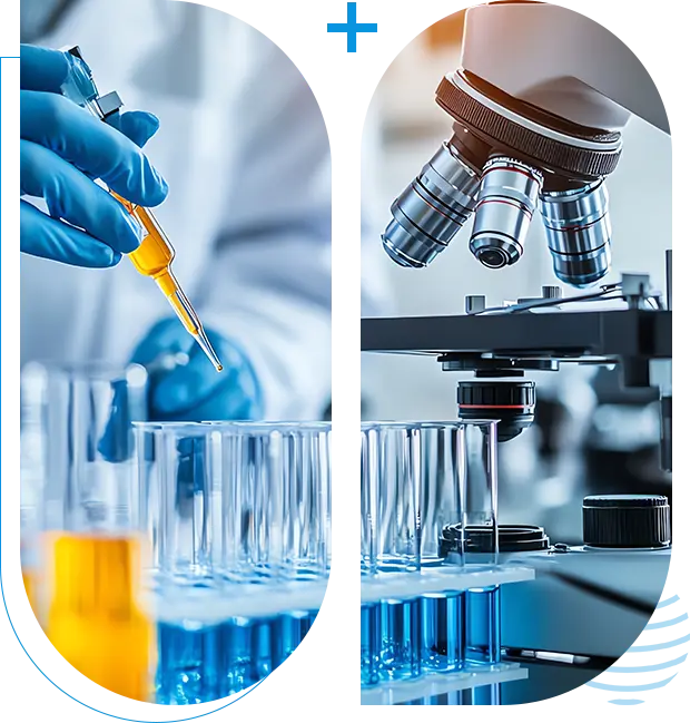 American Drug Testing Lab - Leading Lab Testing Services You Can Trust